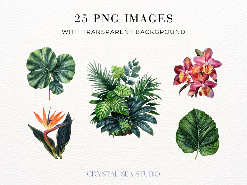 Watercolor Tropical Clipart, Instant Download, Tropical Flowers Clipart ...