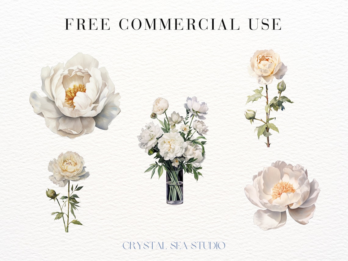 Watercolor White Peonies Clipart Instant Download Botanical - Etsy