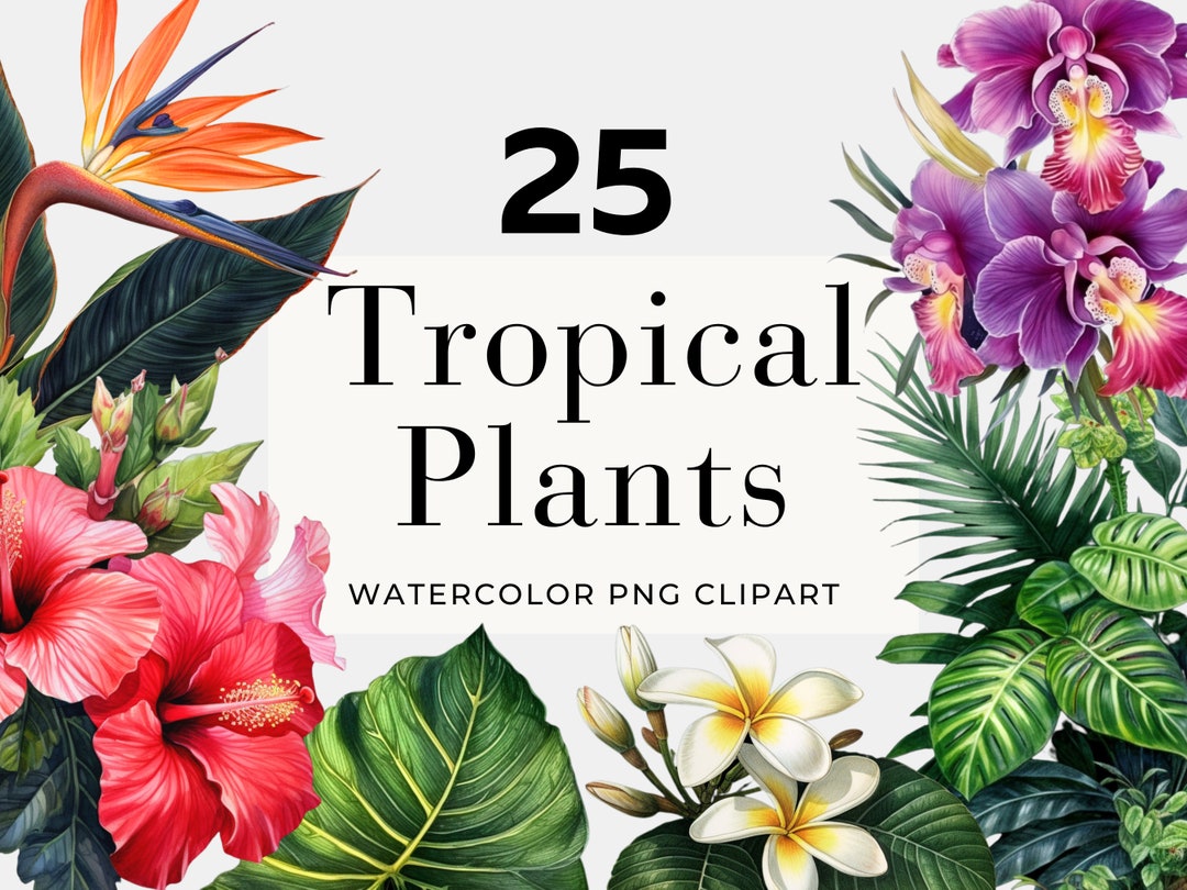 Watercolor Tropical Clipart, Instant Download, Tropical Flowers Clipart ...