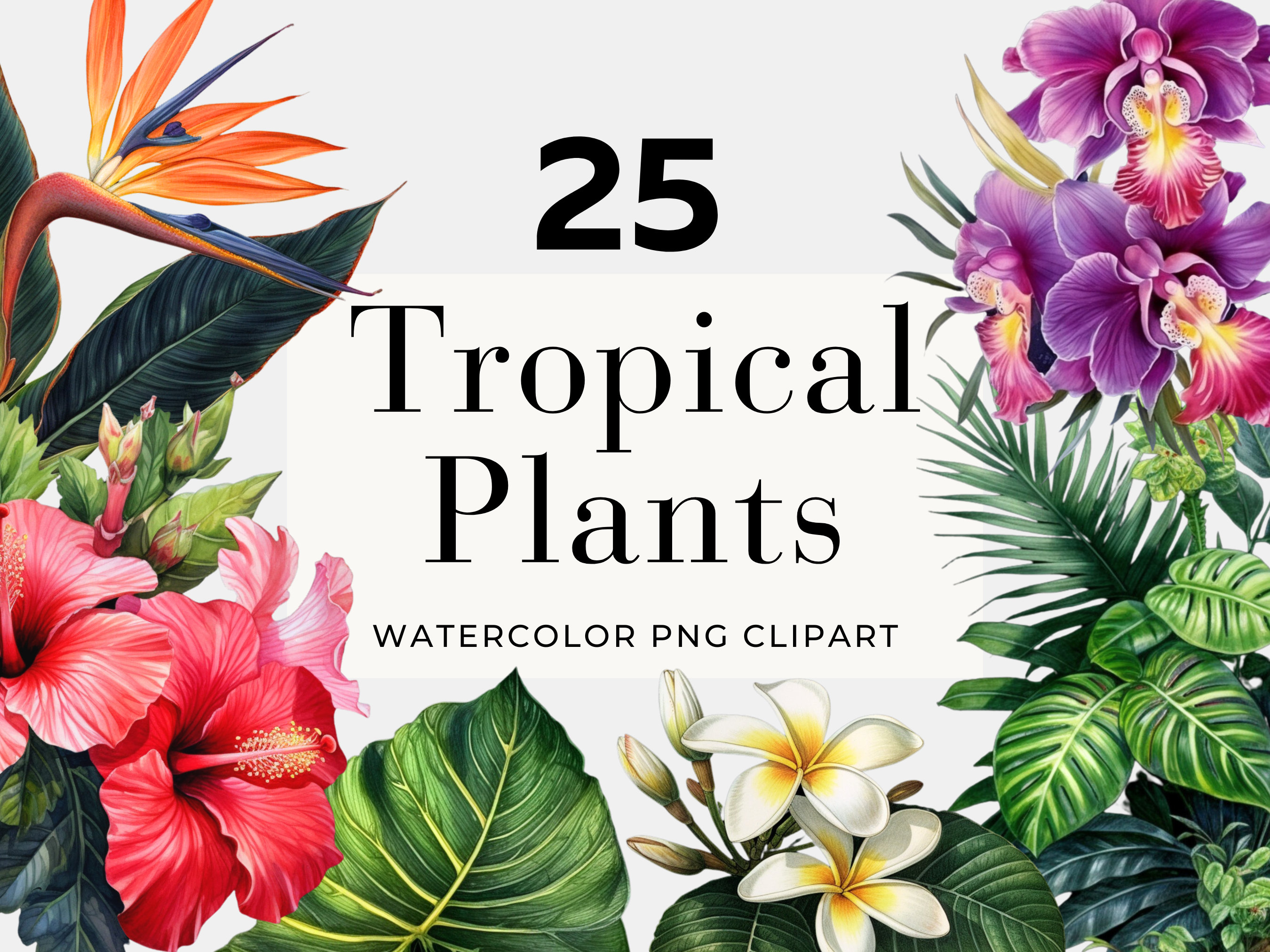 Watercolor Tropical Clipart, Instant Download, Tropical Flowers Clipart ...