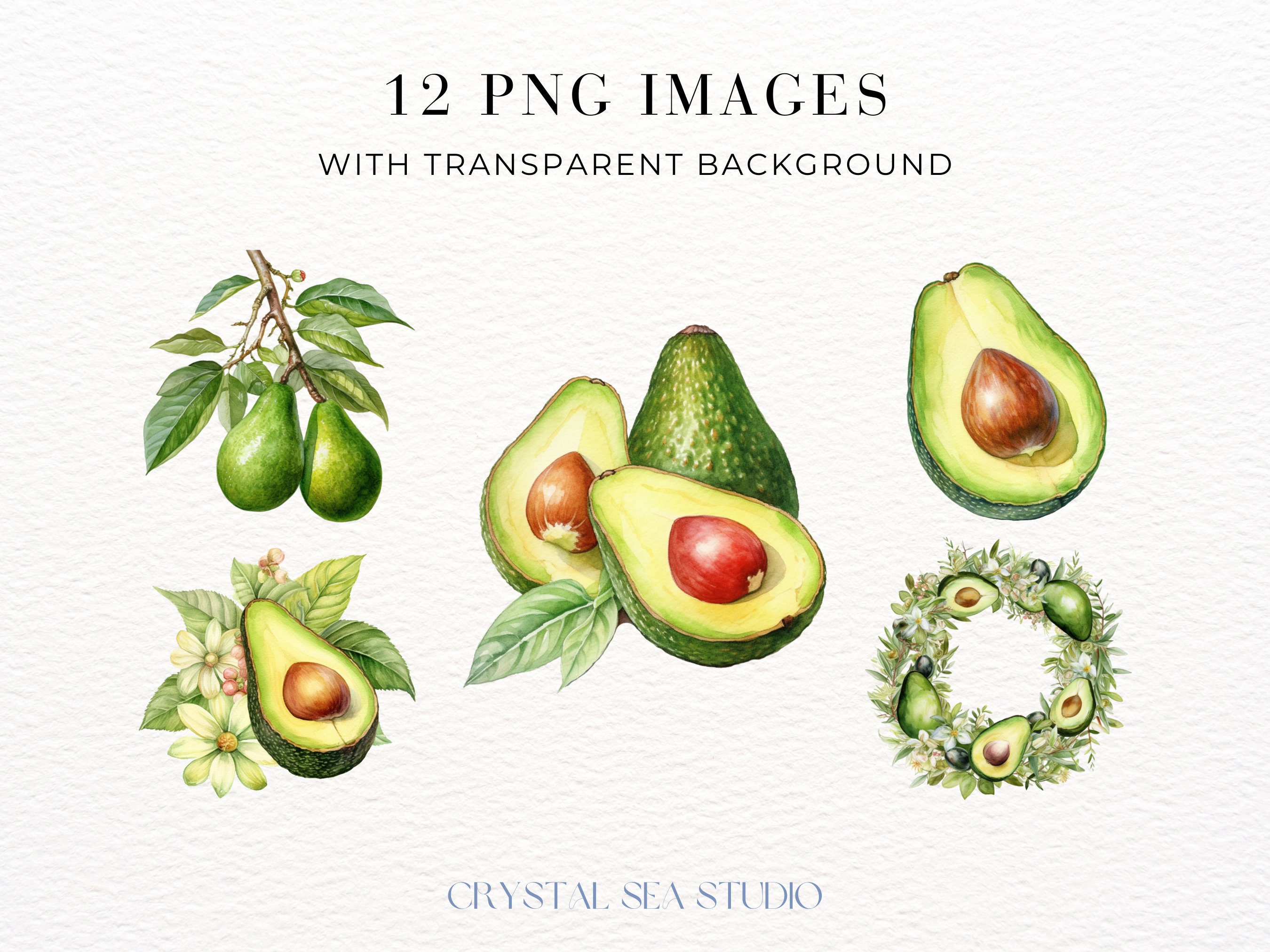 Watercolor Avocado Clipart, Instant Download, Avocado PNG, Food Clipart ...