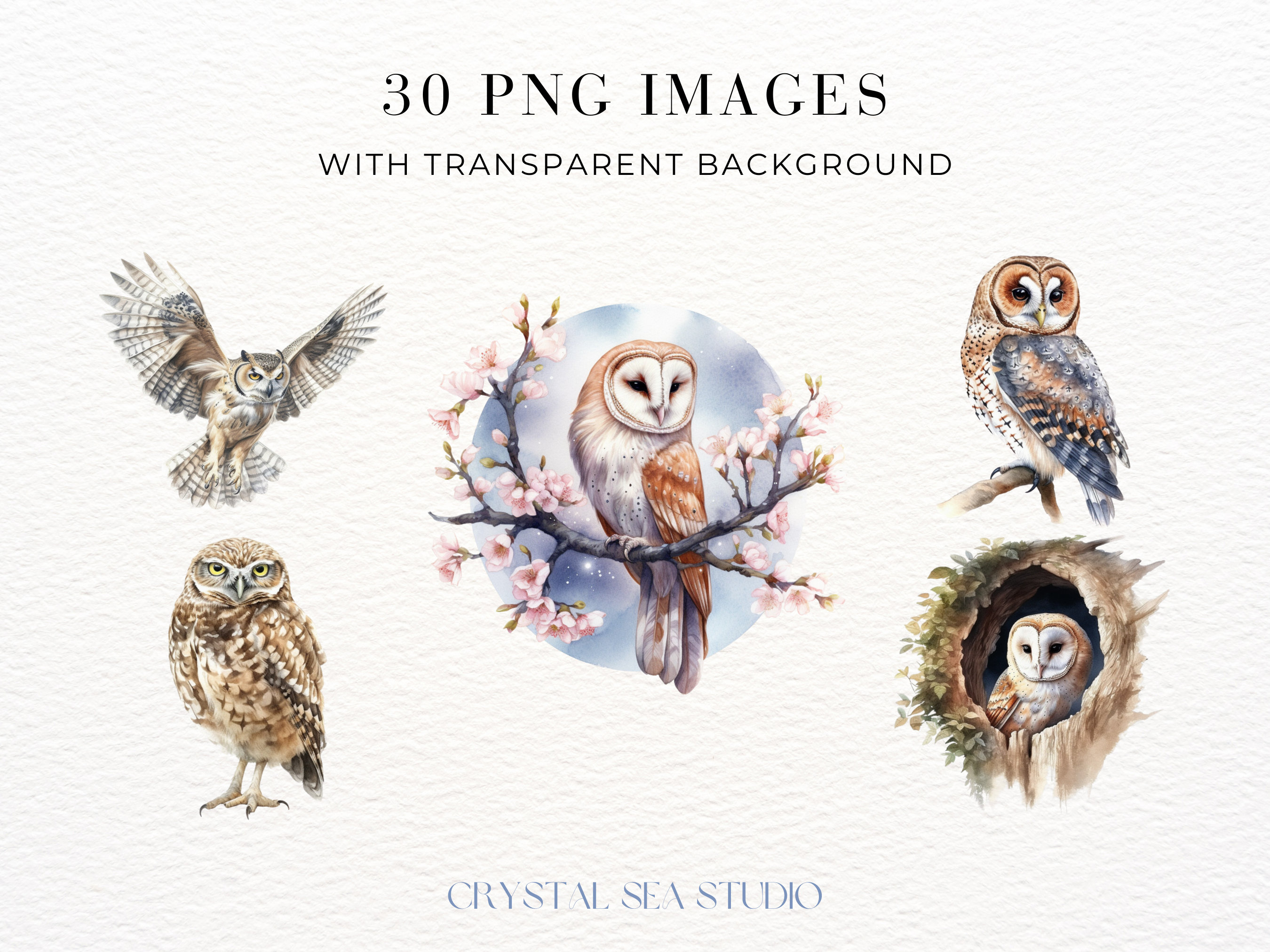 Watercolor Owl Clipart, Instant Download, Owl PNG, Bird Clipart - Etsy