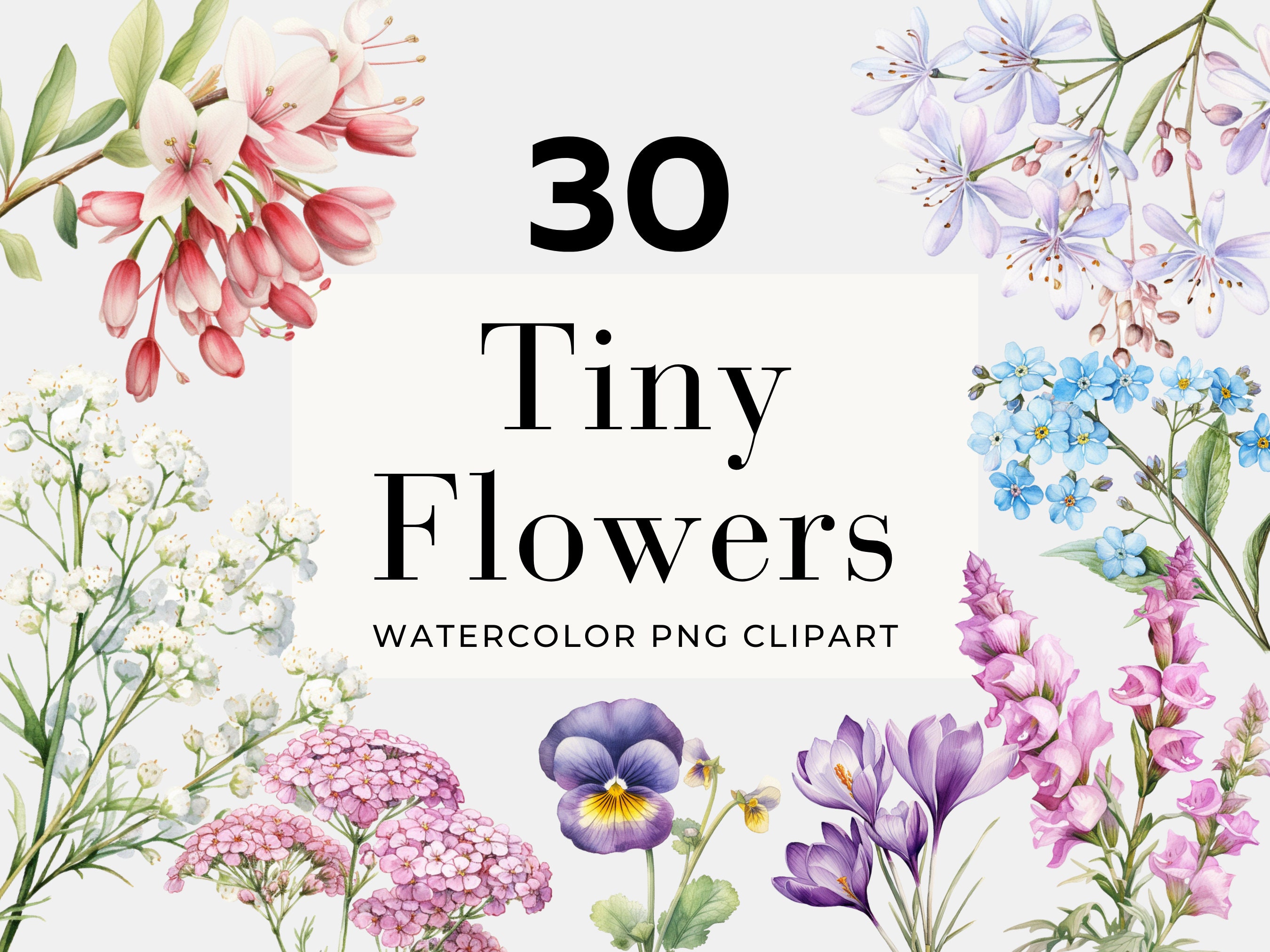 Watercolor Tiny Flower Clip Art, Instant Download, Wildflower Clipart ...