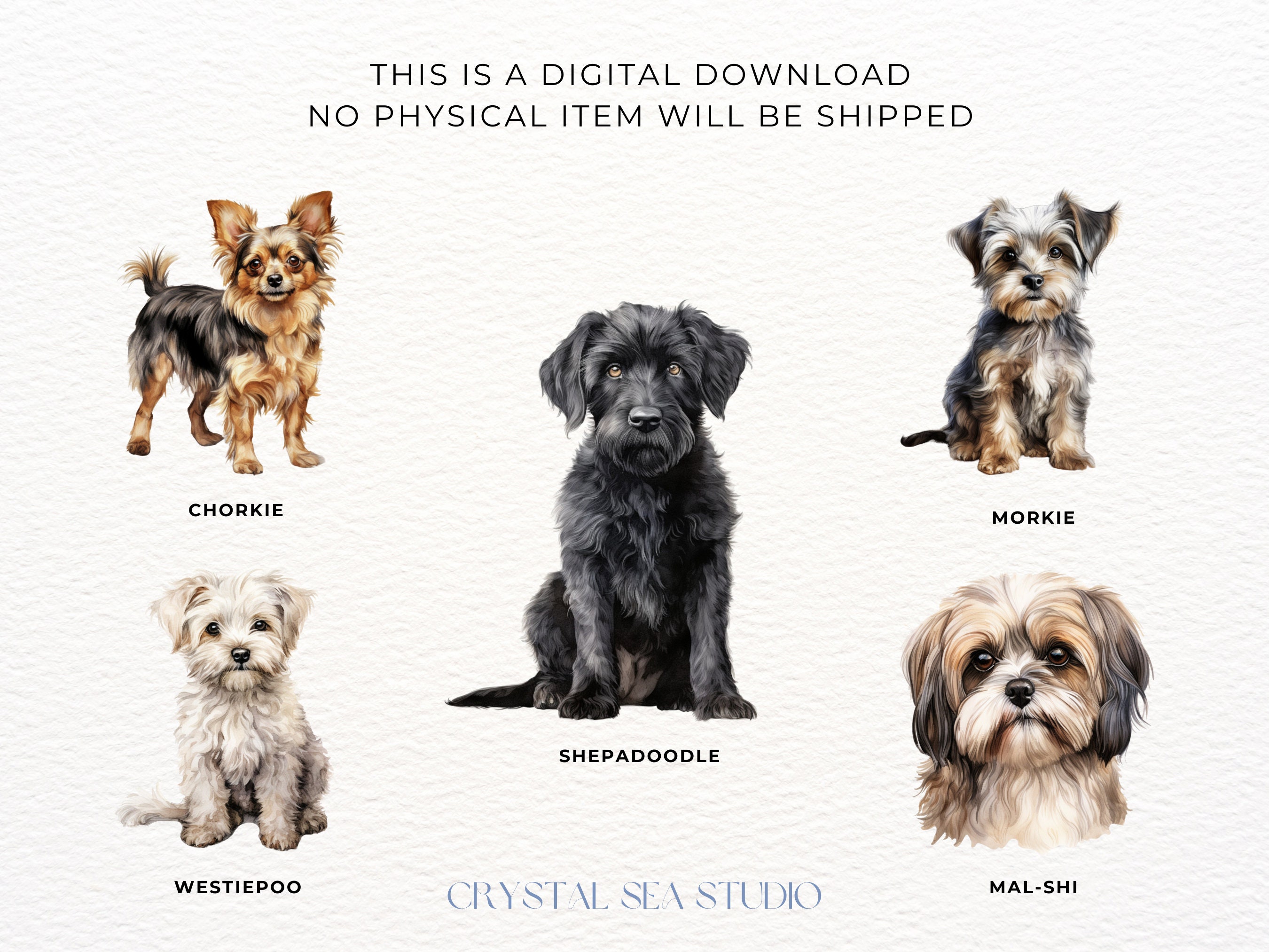 Watercolor Dog Clipart, Instant Download, Dog PNG, Designer Dog Clip ...