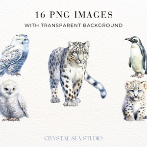 Watercolor Arctic Animal Clipart, Instant Download, Winter PNG, Winter ...