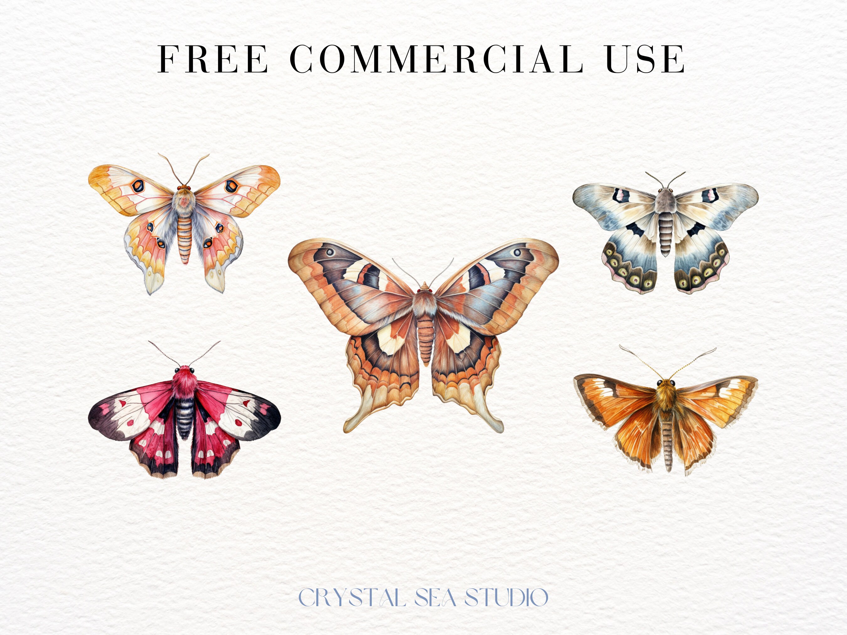 Watercolor Moth Clipart, Instant Download, Moth PNG, Vintage Moths ...