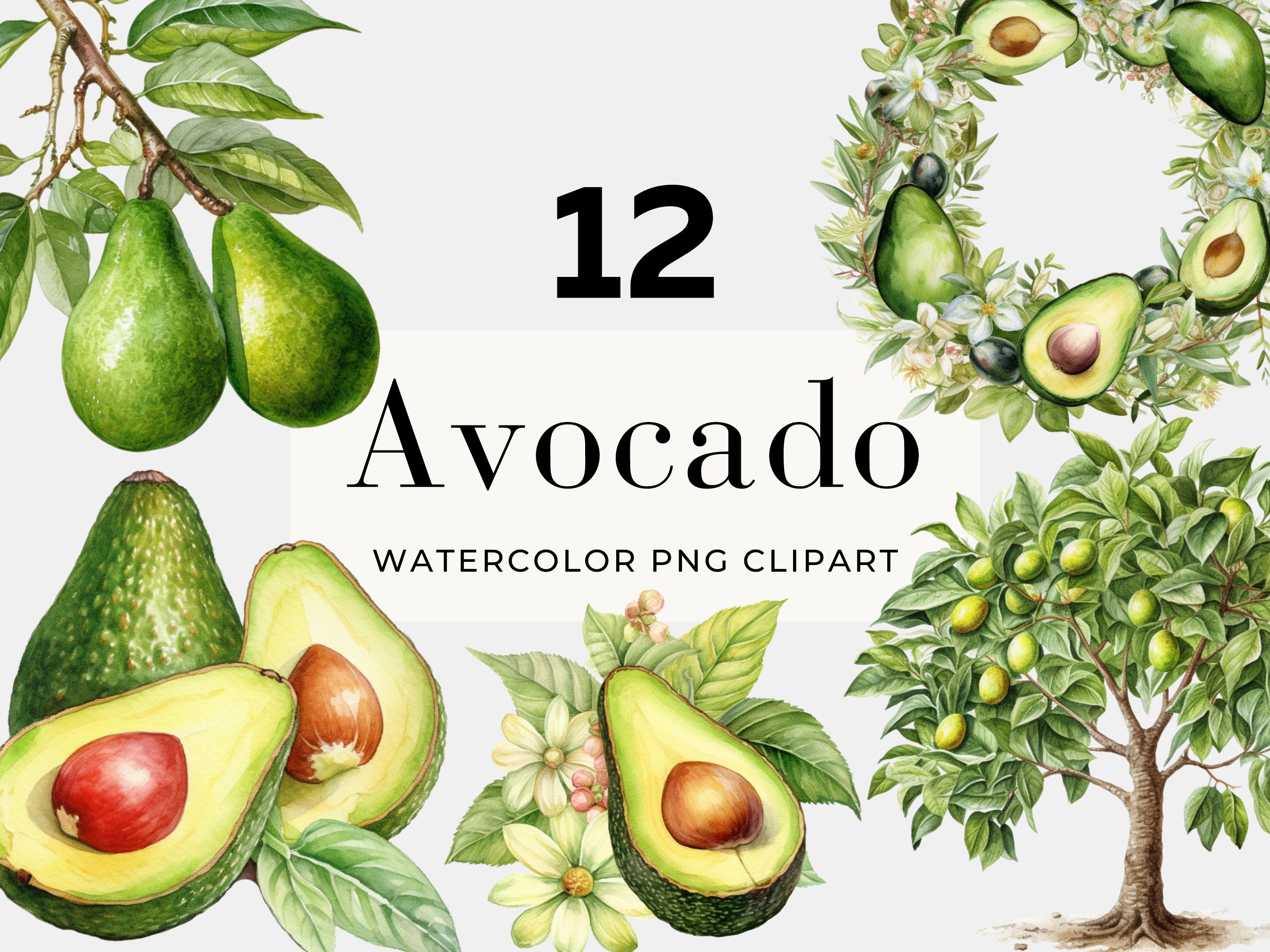 Watercolor Avocado Clipart, Instant Download, Avocado PNG, Food Clipart ...