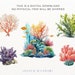 Watercolor Coral Reef Clipart: Sea Life PNG Images (commercial Use) - Etsy