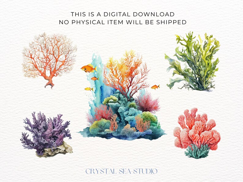 Watercolor Coral Reef Clipart, Commercial Use, Ocean Clipart, Sea Life ...