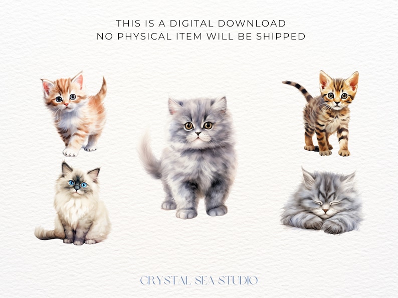 Watercolor Kitten Clip Art, Instant Download, Cat Clipart, Cat Art ...