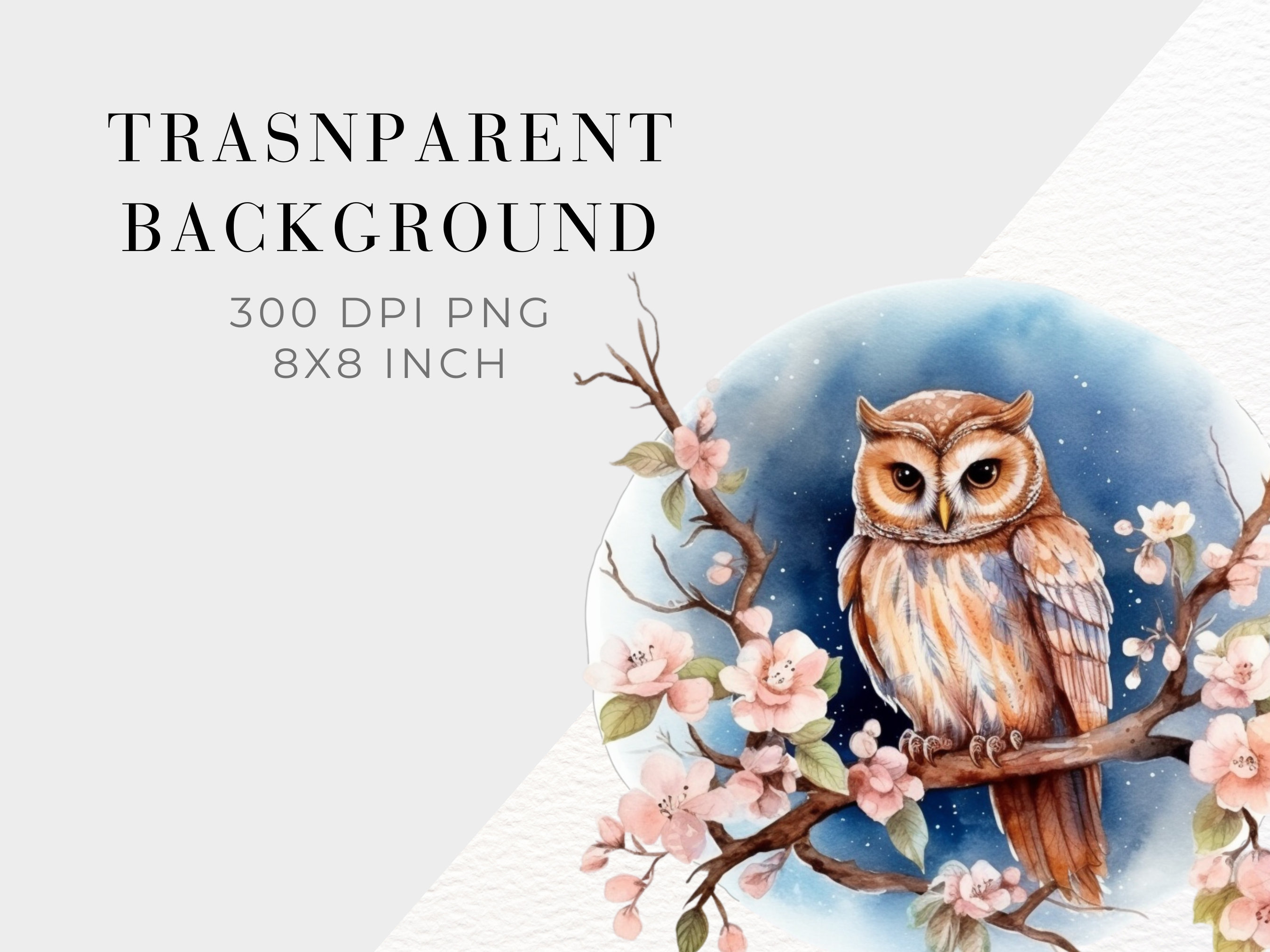 Watercolor Owl Clipart, Instant Download, Owl PNG, Bird Clipart - Etsy