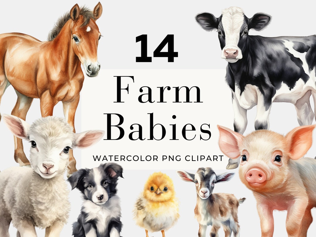 Watercolor Baby Farm Animal Clipart: 14 PNG Images (digital Download ...