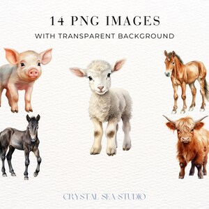 Watercolor Baby Farm Animal Clipart: 14 PNG Images (digital Download ...