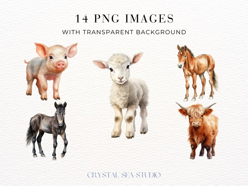 Watercolor Baby Farm Animal Clipart: 14 PNG Images (digital Download ...