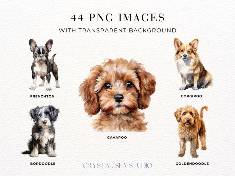 Watercolor Dog Clipart, Instant Download, Dog PNG, Designer Dog Clip ...