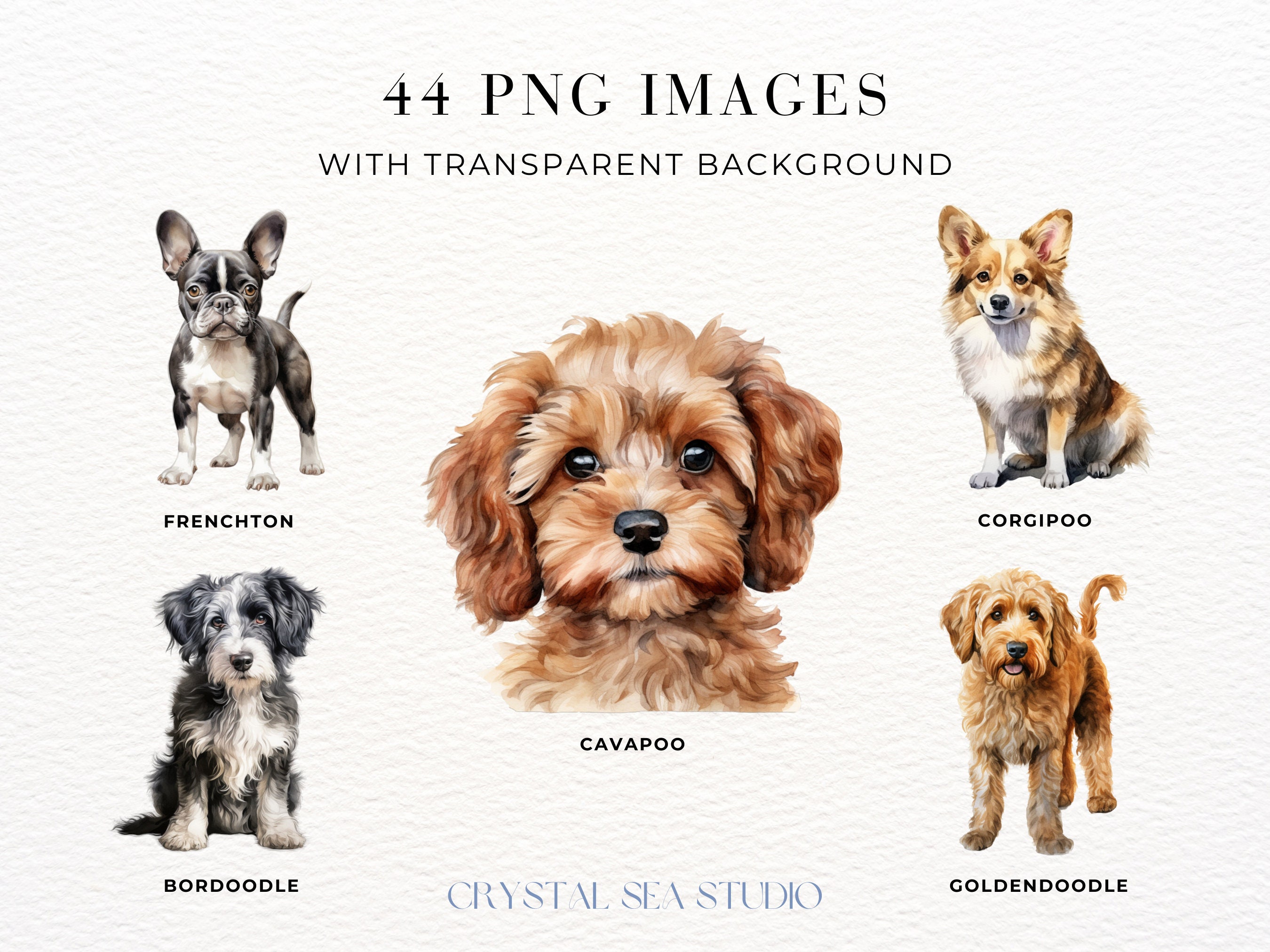 Watercolor Dog Clipart, Instant Download, Dog PNG, Designer Dog Clip ...