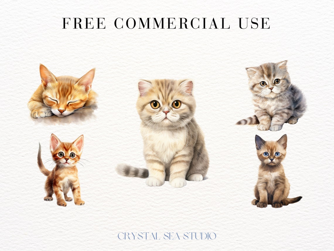 Watercolor Kitten Clip Art, Instant Download, Cat Clipart, Cat Art ...