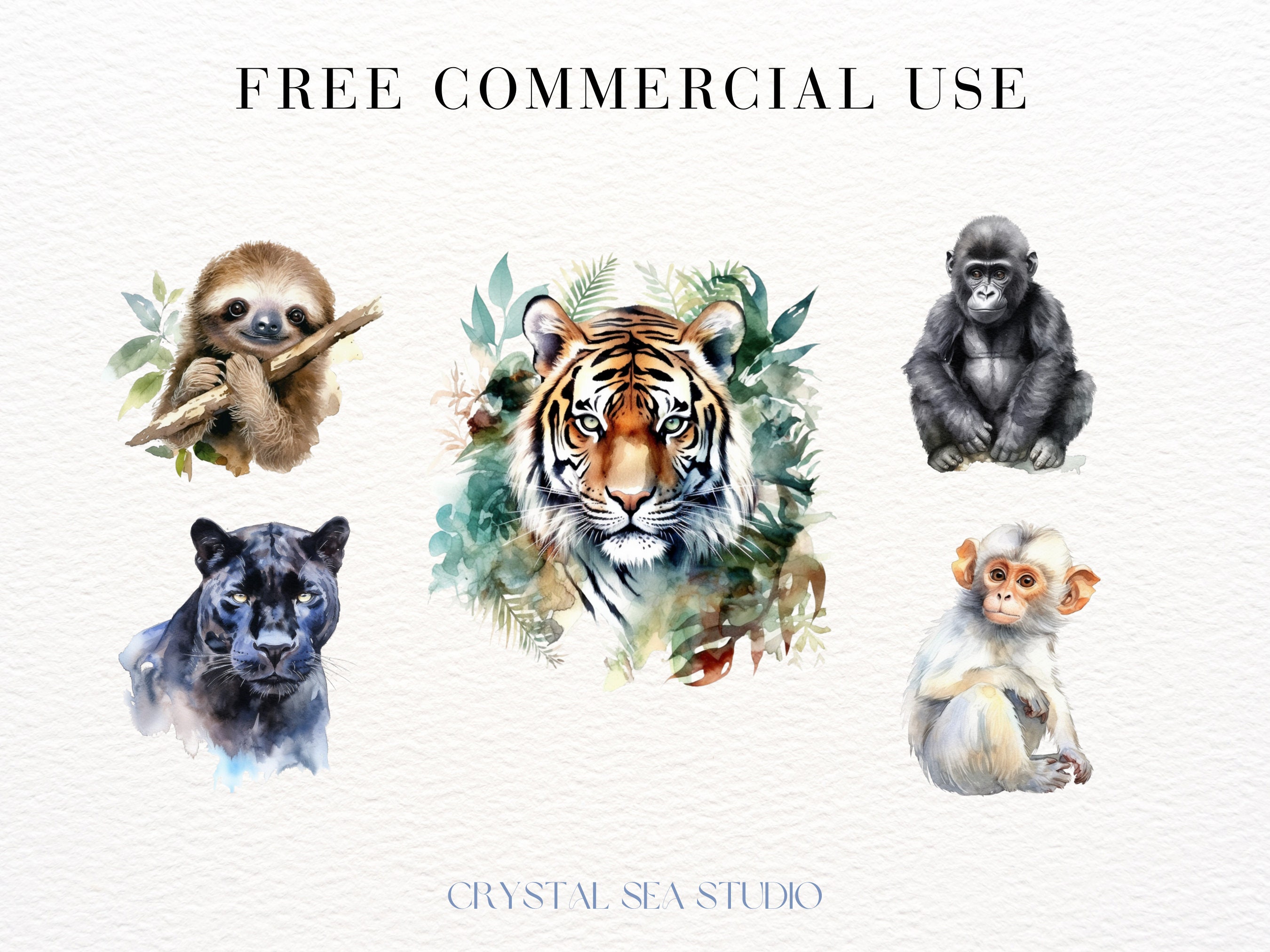 Watercolor Jungle Animal Clipart, Instant Download, Tropical Clipart ...