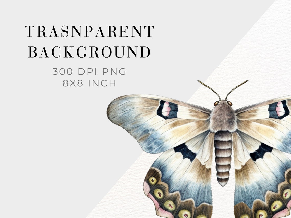 Watercolor Moth Clipart, Instant Download, Moth PNG, Vintage Moths ...