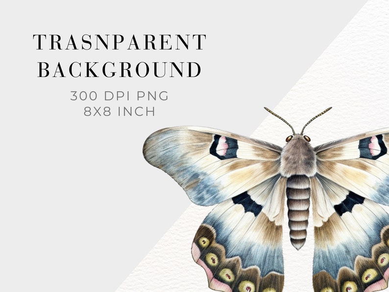 Watercolor Moth Clipart, Instant Download, Moth PNG, Vintage Moths ...