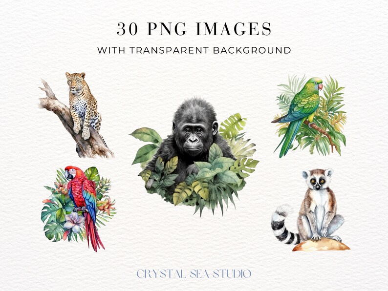 Watercolor Jungle Animal Clipart, Instant Download, Tropical Clipart ...