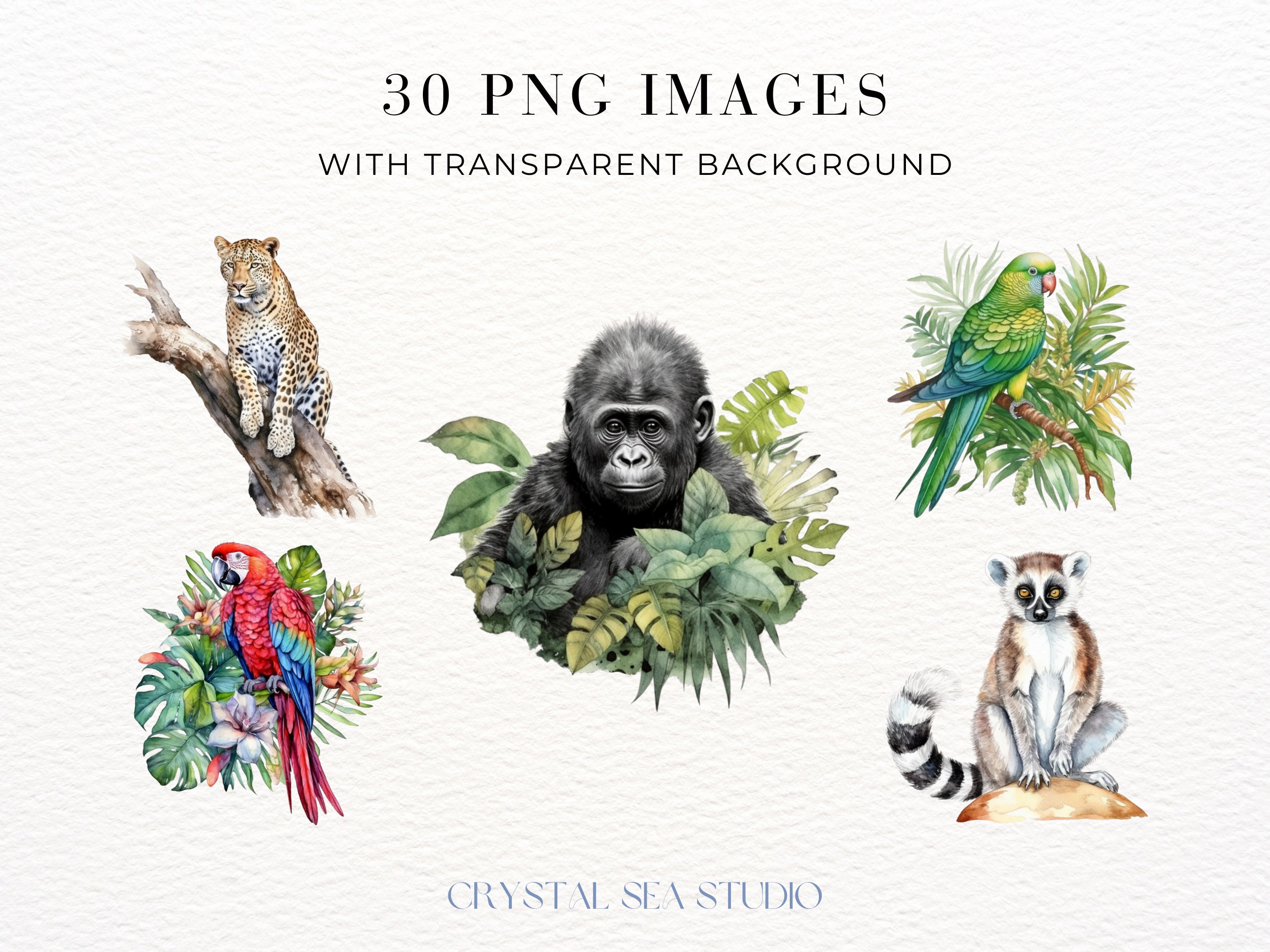 Watercolor Jungle Animal Clipart, Instant Download, Tropical Clipart ...