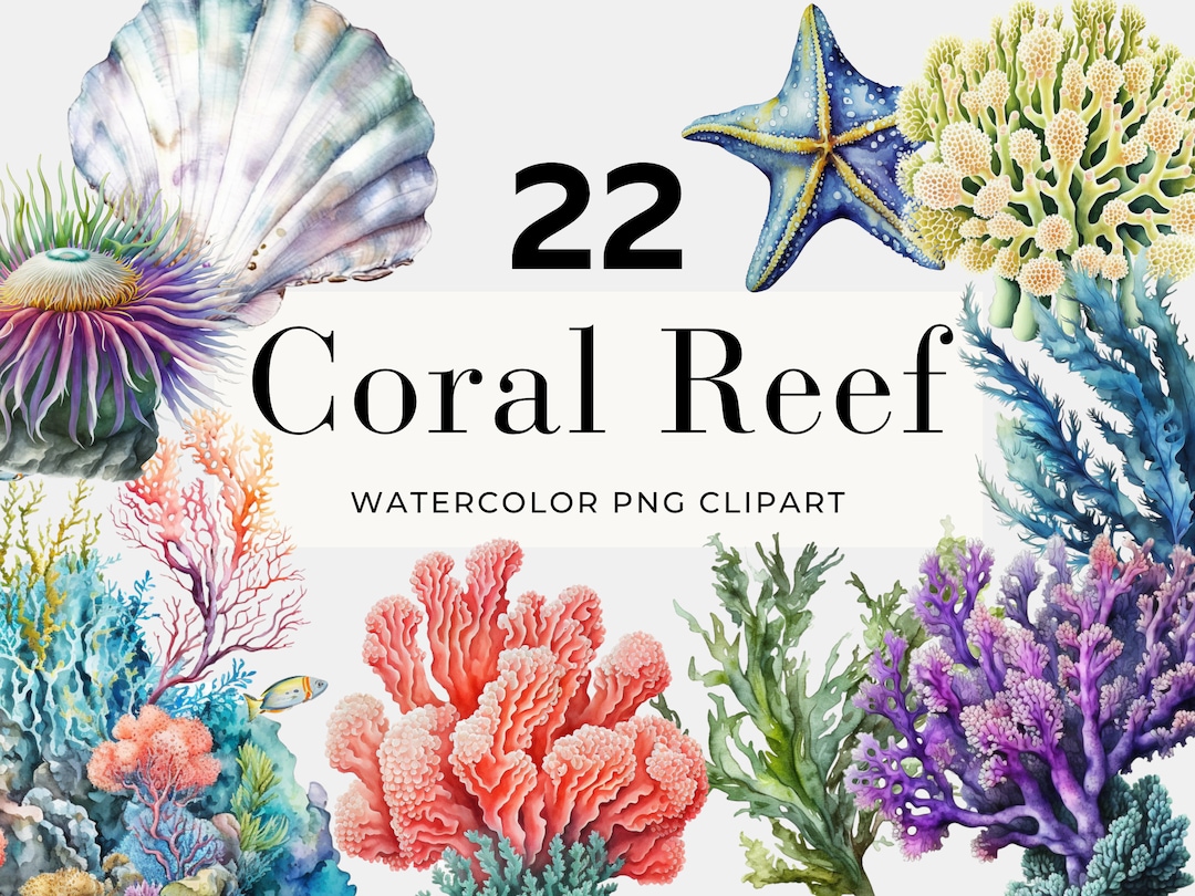 Watercolor Coral Reef Clipart, Commercial Use, Ocean Clipart, Sea Life ...