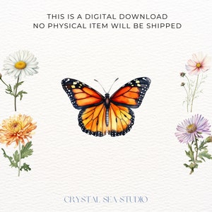 Watercolor Monarch Butterfly Clipart, Instant Download, Butterfly PNG ...