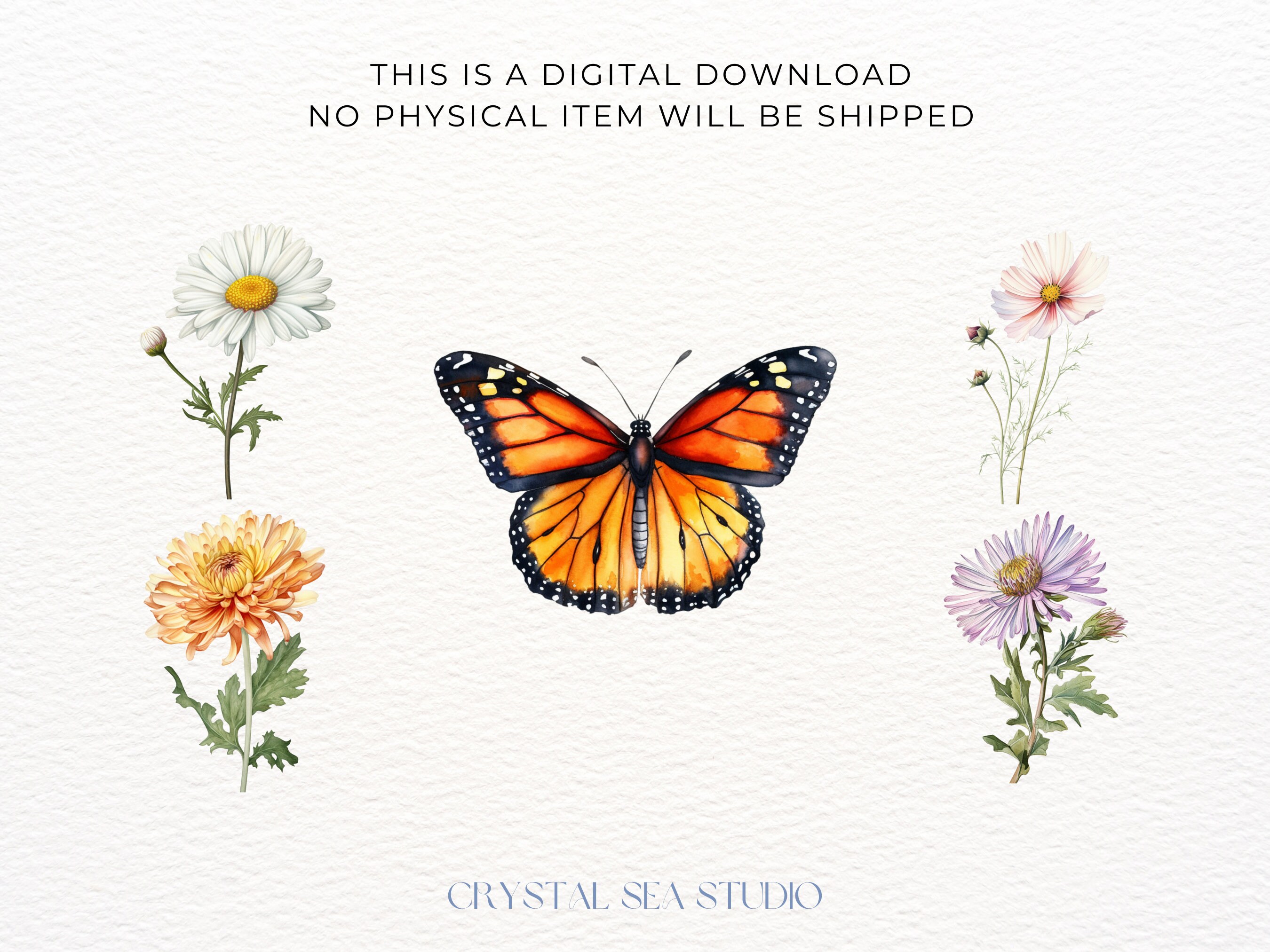 Watercolor Monarch Butterfly Clipart, Instant Download, Butterfly PNG ...