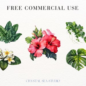 Watercolor Tropical Clipart, Instant Download, Tropical Flowers Clipart ...
