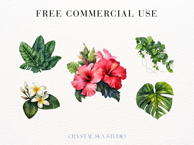 Watercolor Tropical Clipart, Instant Download, Tropical Flowers Clipart ...