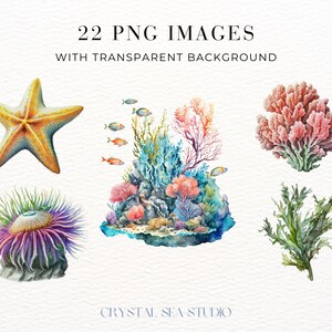 Watercolor Coral Reef Clipart: Sea Life PNG Images (commercial Use) - Etsy