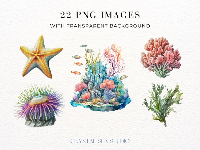 Watercolor Coral Reef Clipart, Commercial Use, Ocean Clipart, Sea Life ...