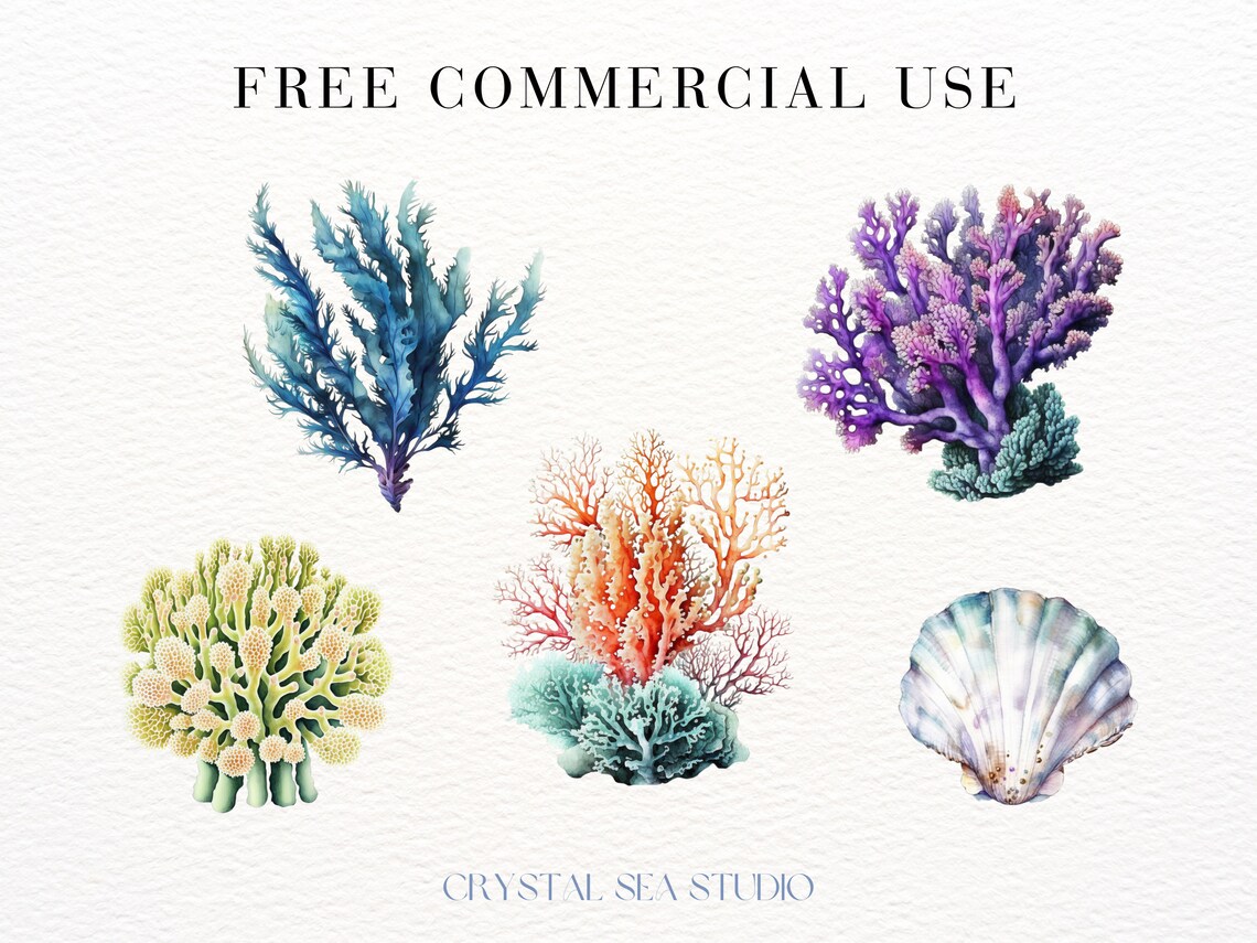 Watercolor Coral Reef Clipart, Commercial Use, Ocean Clipart, Sea Life ...