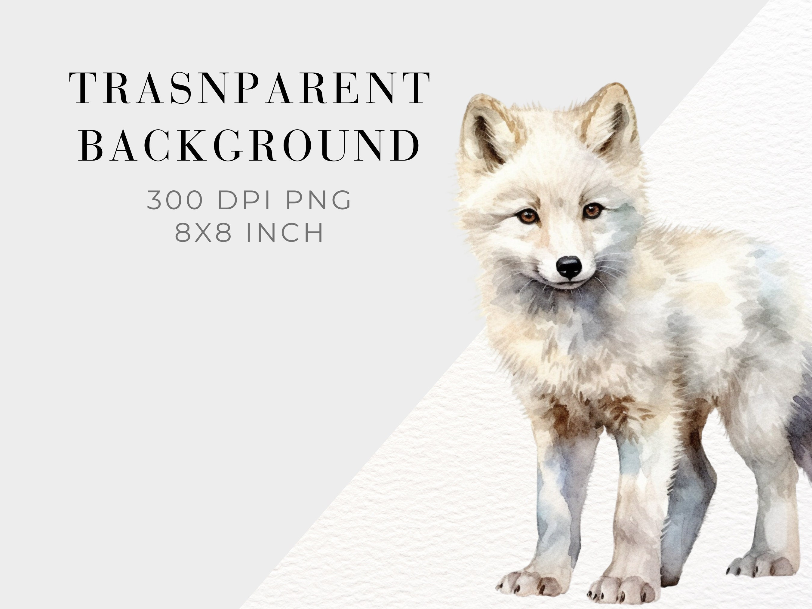 Watercolor Arctic Animal Clipart, Instant Download, Winter PNG, Winter ...