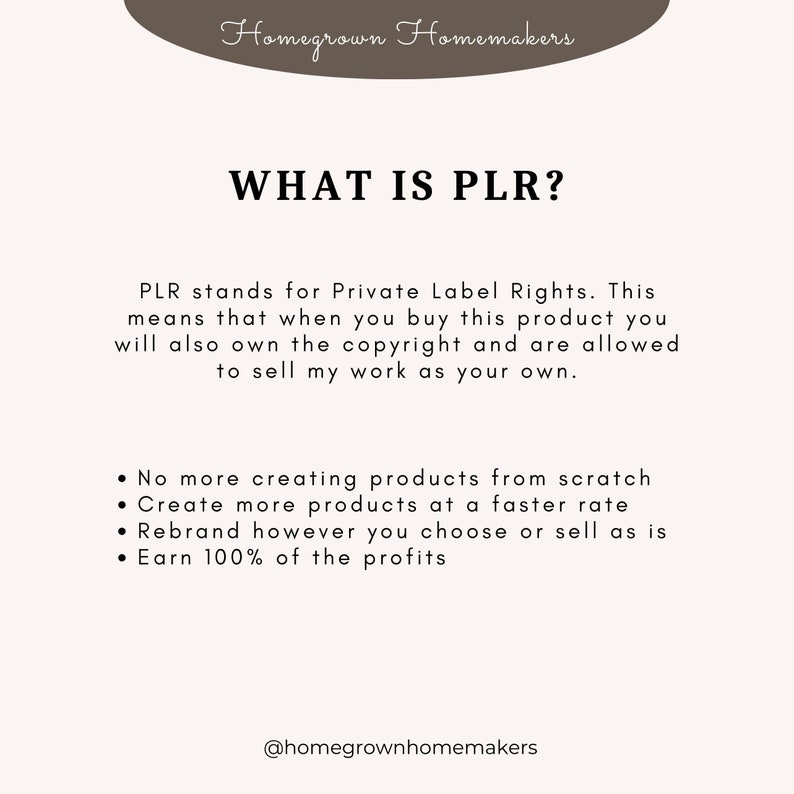 100 Digital Product Ideas PDF PLR Digital Product Passive Income MRR ...