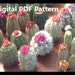 Jayhawk Crocheted Bookmark PDF Pattern | Instant Download | DIY | Book ...