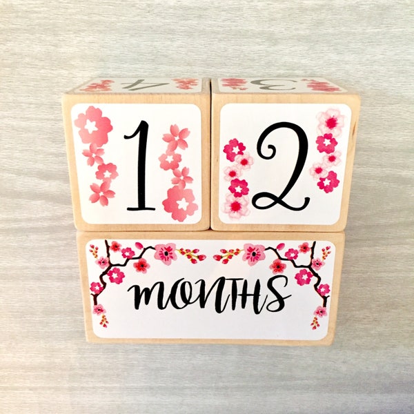 Milestone Blocks - Etsy