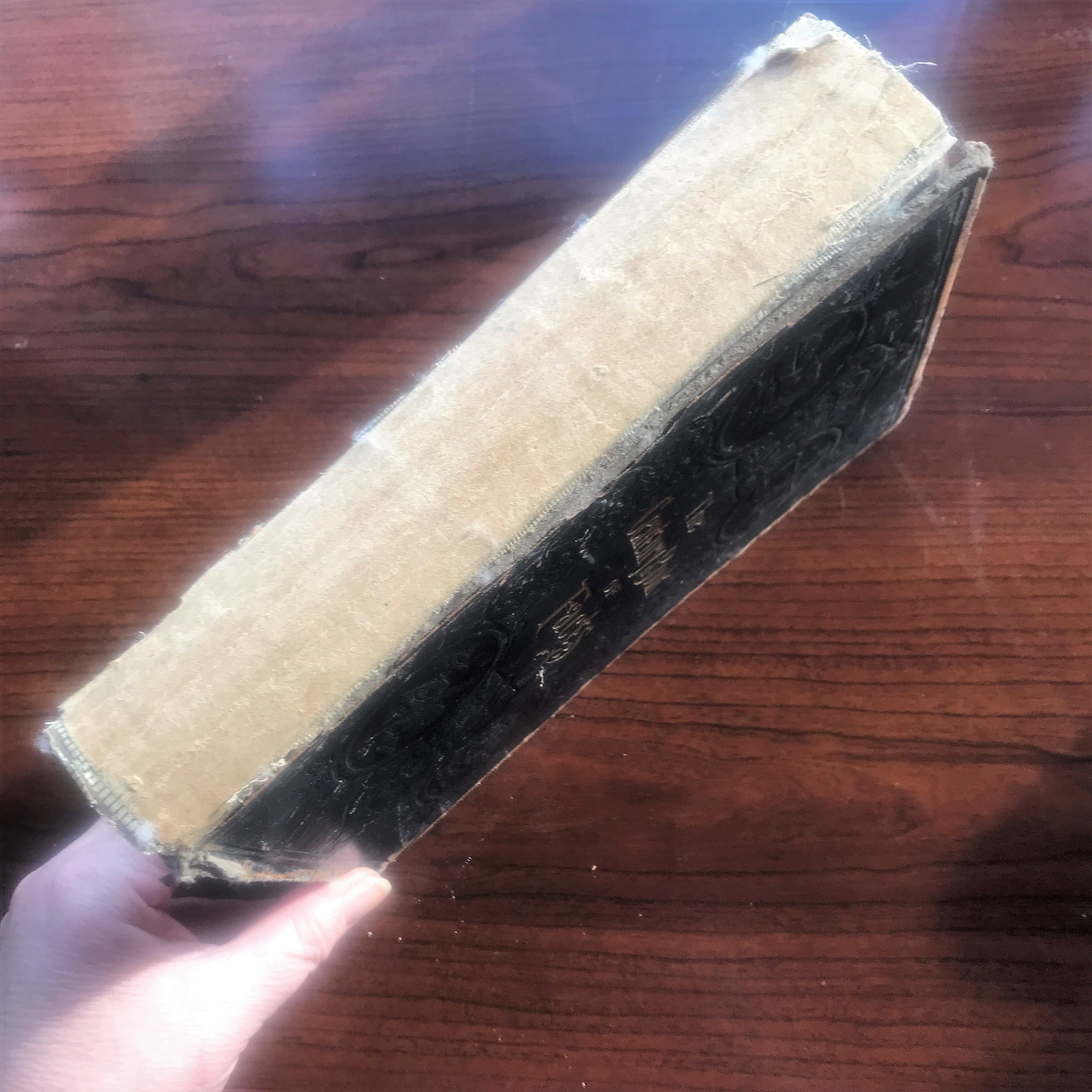 Antique 1904 Century Book of Facts King Richardson Pub. Leather - Etsy