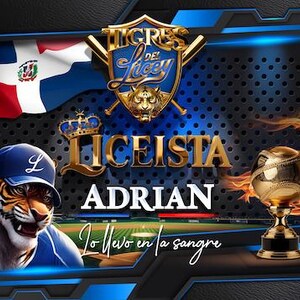 DIGITAL Tigres Del Licey Tumbler, Plantilla WRAP BEST Quality Ever - Etsy