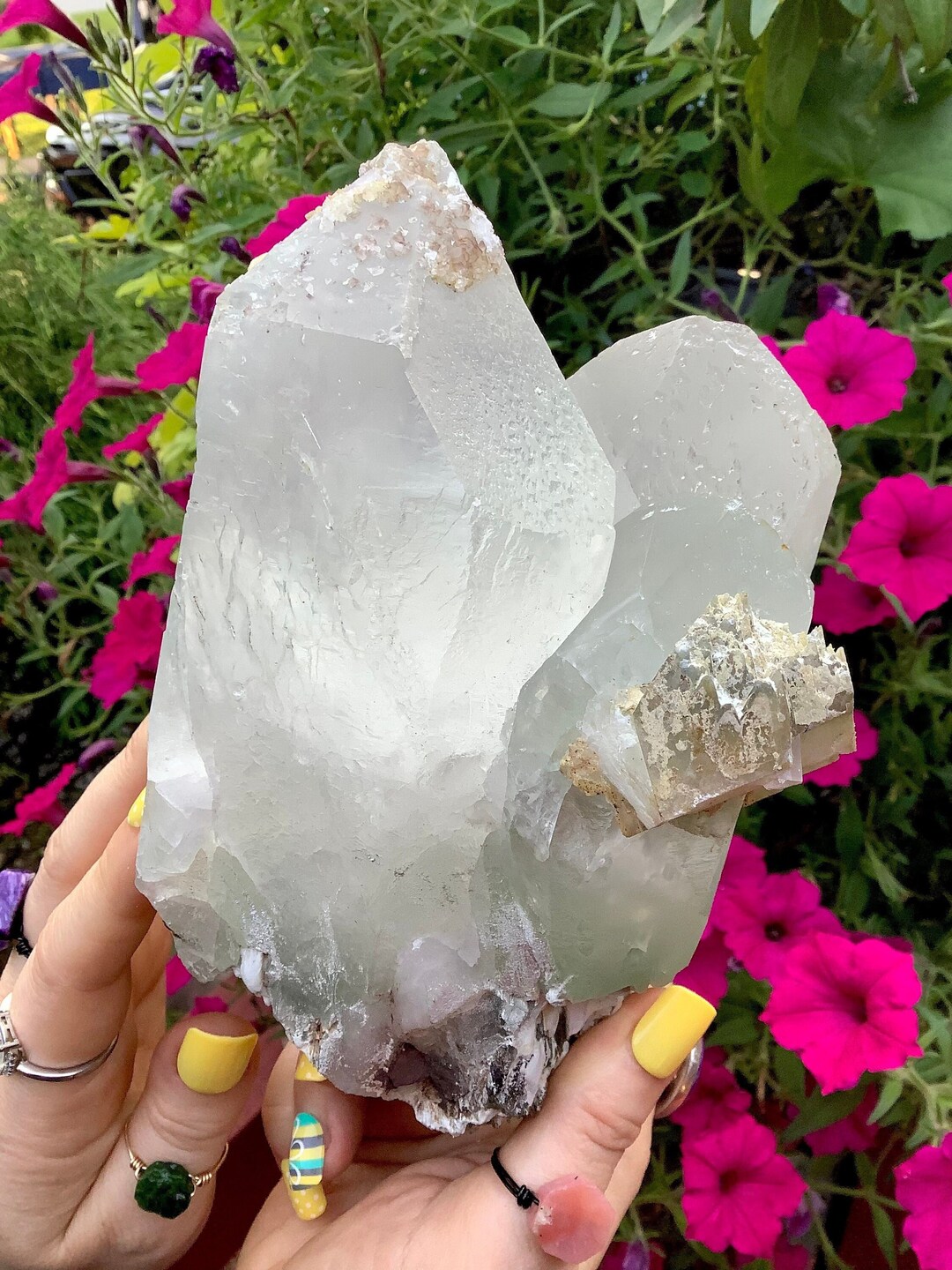 Quartz Crystal Large 3 Lb. 14 Oz. Himalayan Triple Point Cluster 6 Long ...