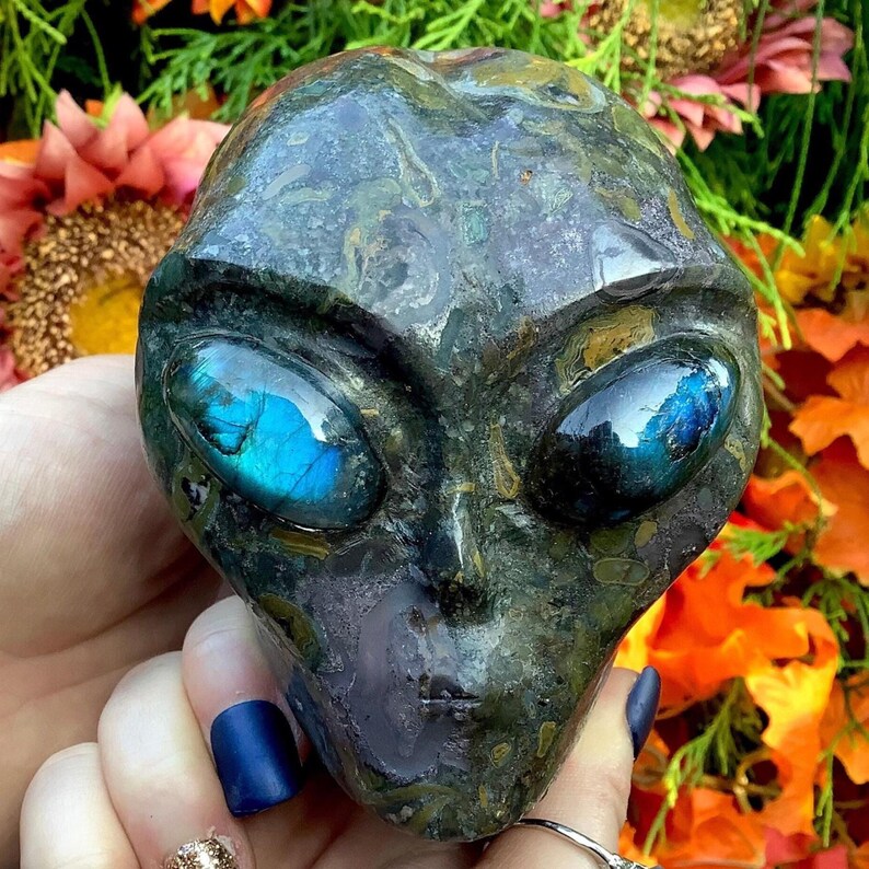 Kambaba Jasper Crystal Alien Skull ~ 2 Lb. 14 Oz. ~ 4" Long ~ Sparkling ...