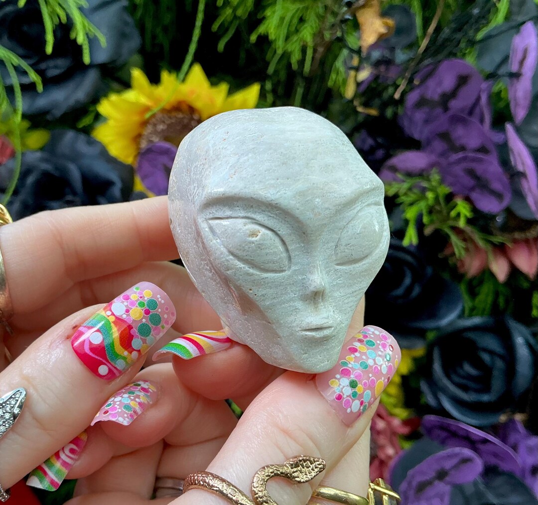 Hand-carved Fossilized Coral Alien Skull - Crystal Display Sculpture - Etsy