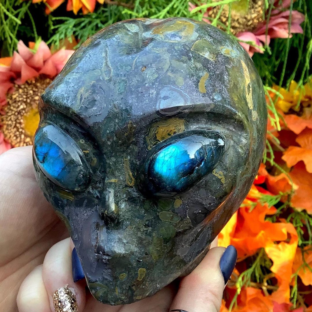 Kambaba Jasper Crystal Alien Skull ~ 2 Lb. 14 Oz. ~ 4" Long ~ Sparkling ...