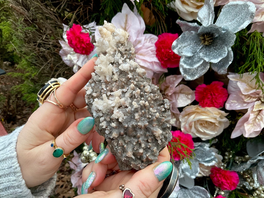 Dogtooth Calcite Specimen Large 11 Oz. Cluster ~ 5 1/2" Long ~ Natural ...