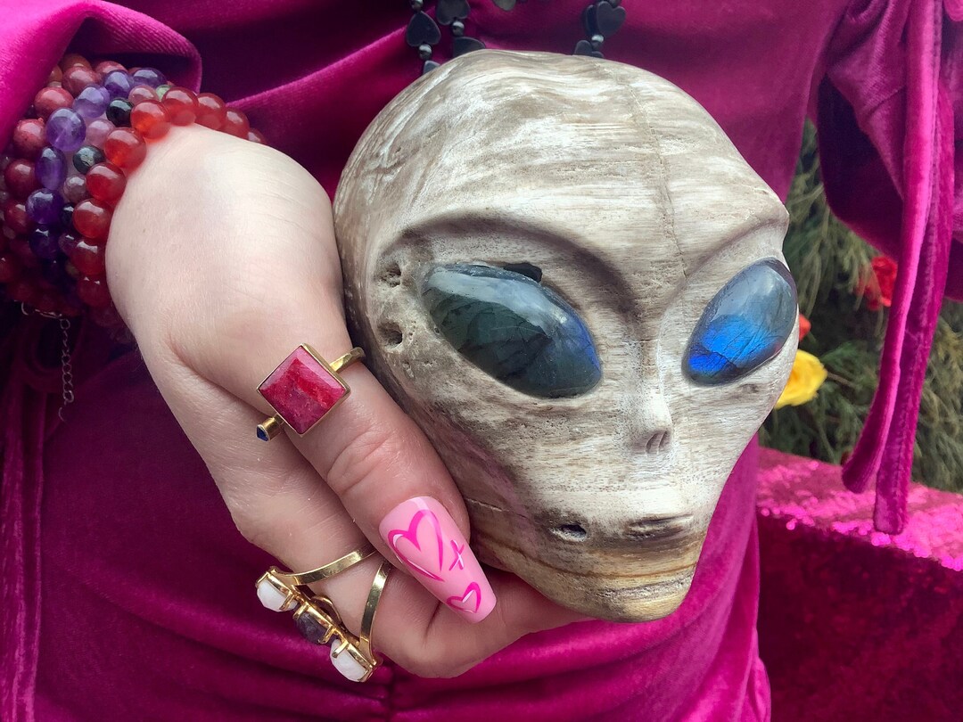 Petrified Wood Alien Skull: Hand Carved Crystal Sculpture With ...