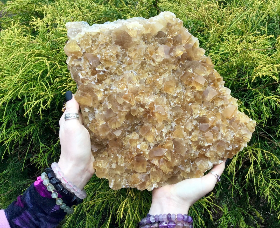 Calcite Crystal 8 Lb. 6 Oz. Cluster 11 Long Deep Golden Yellow ...
