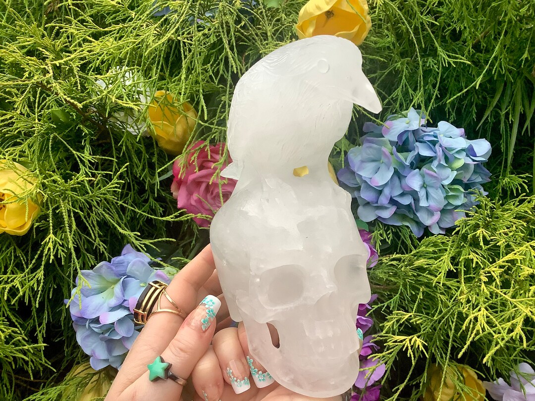 Clear Quartz Crystal Raven Skull ~ Large 3 Lb. 9 Oz. ~ 7" Tall ~ Hand ...