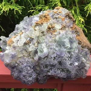 Fluorite Cubic Crystal Large 11 Lb. 10 Oz. Cluster 8 Long Purple Green ...