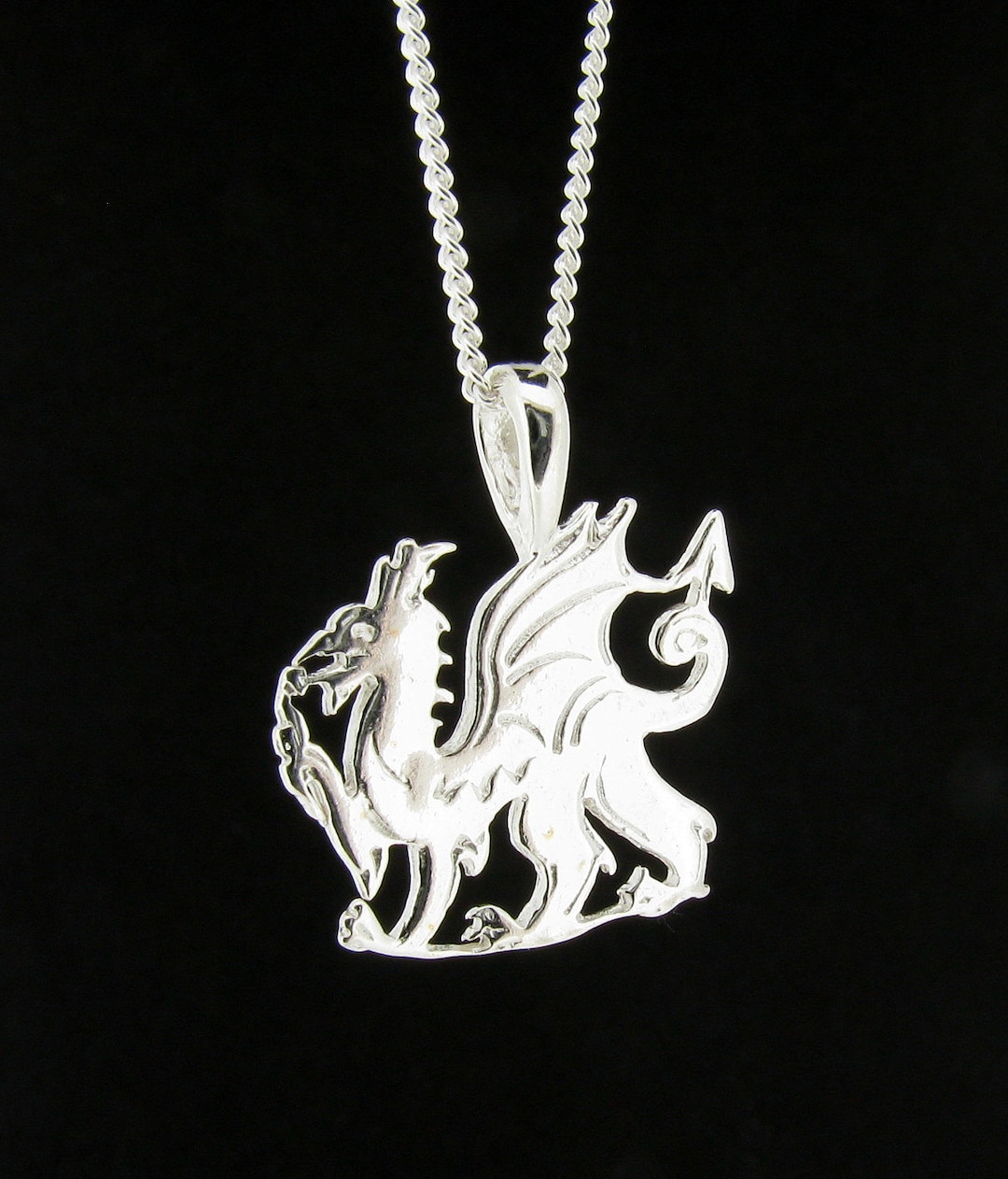 Sterling Silver Welsh Dragon Pendant & Chain Necklace, Draco Red Dragon ...